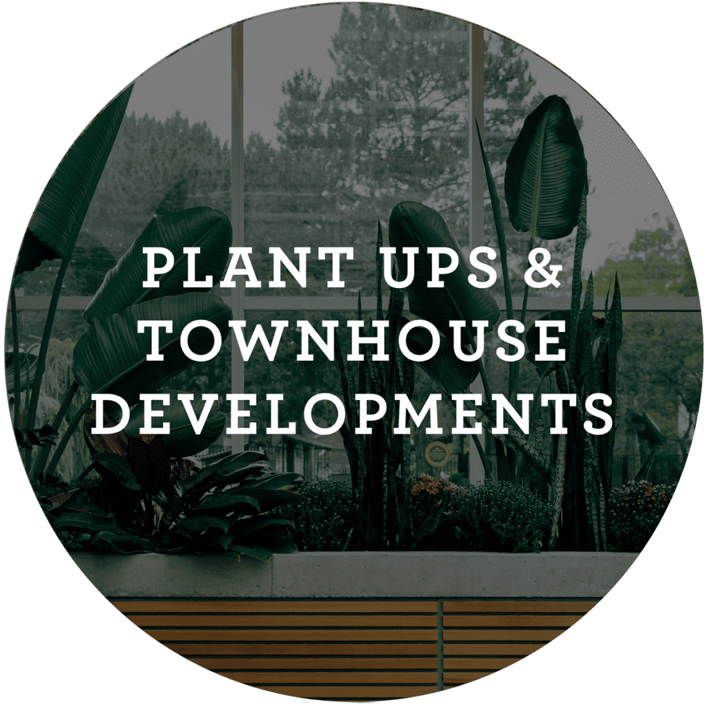 Our Services | Bluebell Gardening & Design | Hutt Valley, Wellington ...